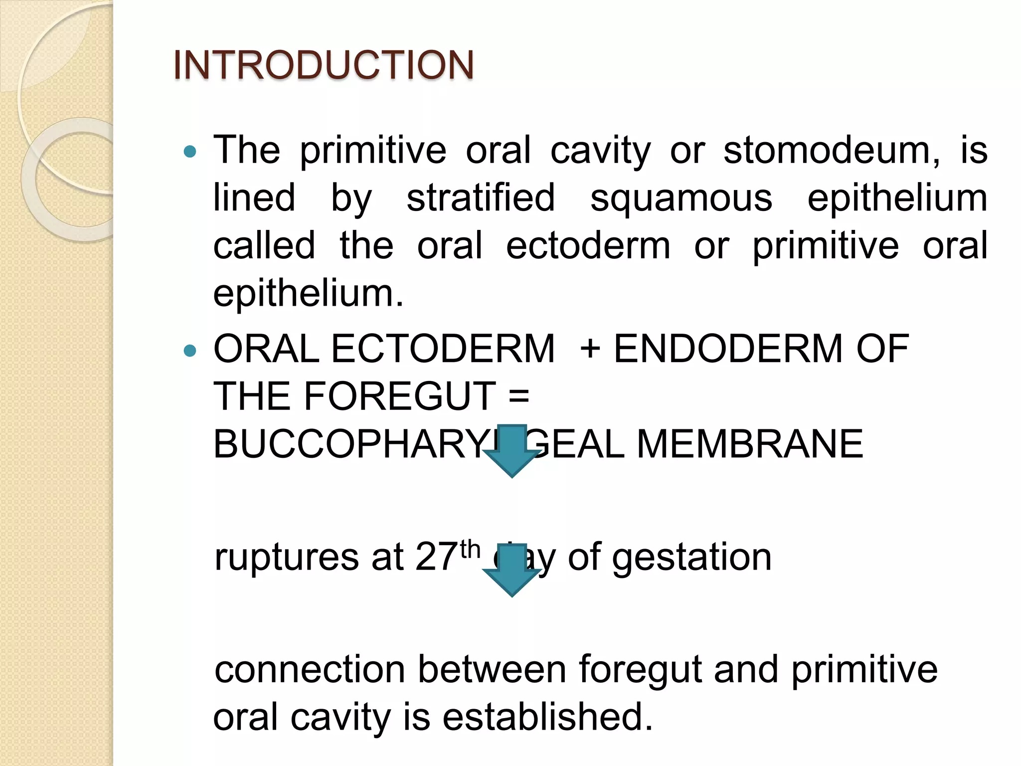 Chronology of dental development and development of occlusion | PPTX