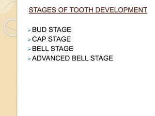 Chronology of dental development and development of occlusion | PPTX