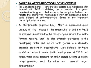 Chronology of dental development and development of occlusion | PPTX