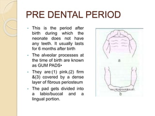 Chronology of dental development and development of occlusion | PPTX