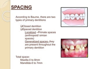 Chronology of dental development and development of occlusion | PPTX