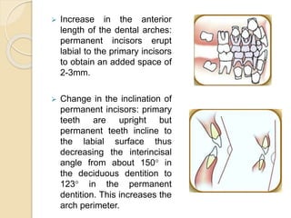 Chronology of dental development and development of occlusion | PPTX