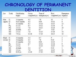 Chronology of primary and permanent dention | PPT | Dental Health ...