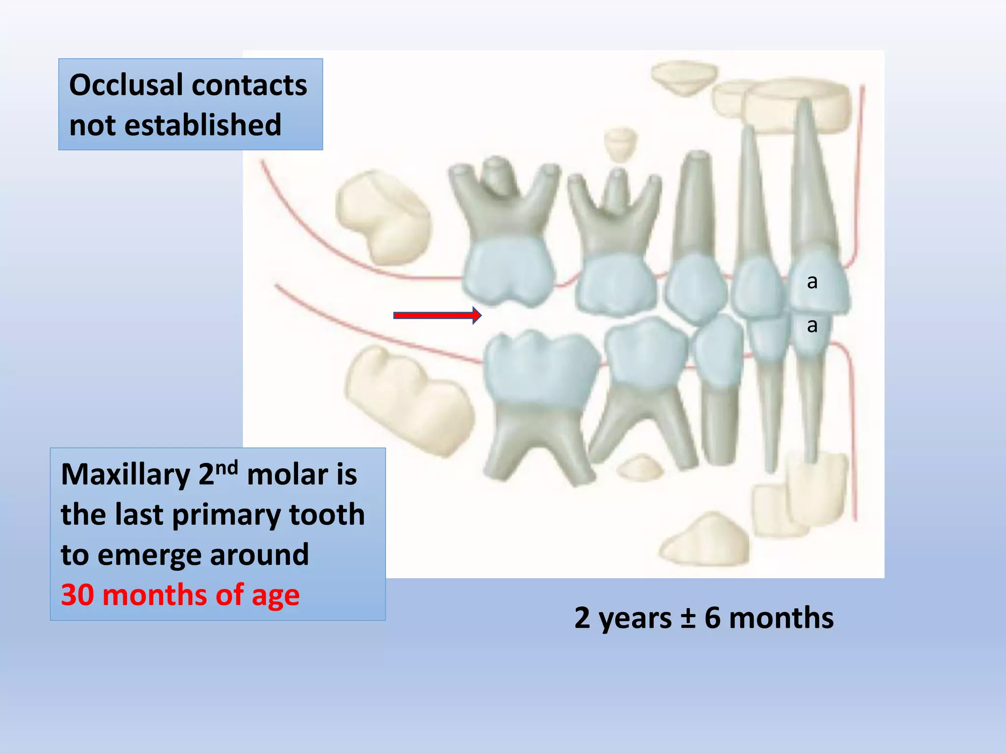 Chronology of Primary and Permanent Teeth-D. Saba Arshad.pptx