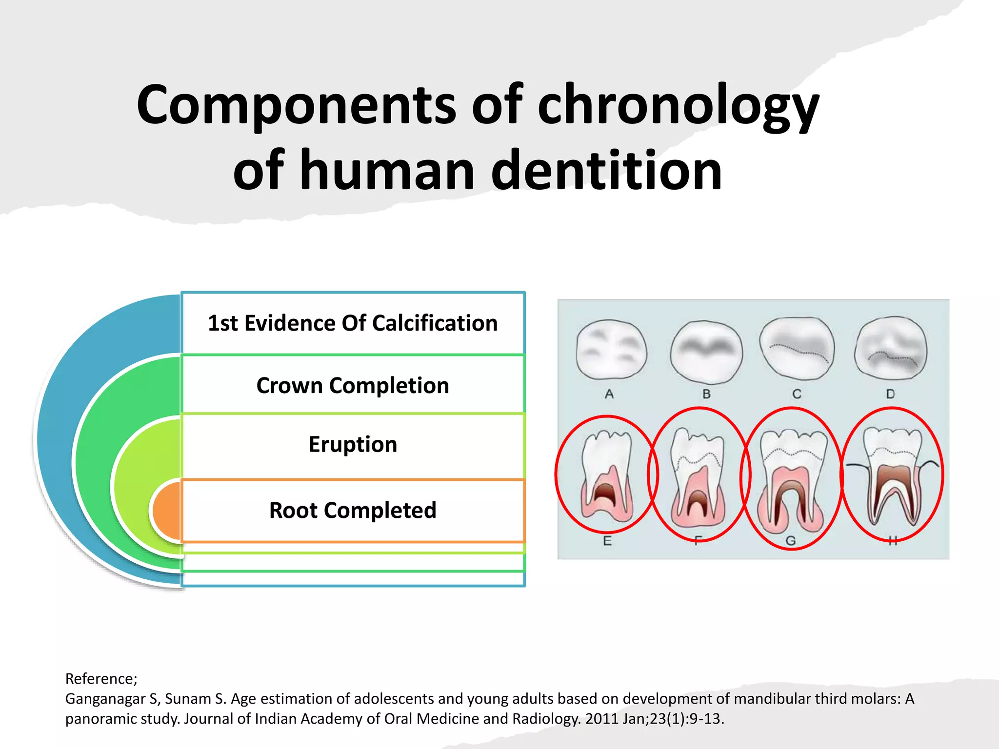 Chronology of Primary and Permanent Teeth-D. Saba Arshad.pptx