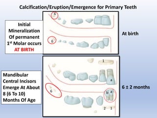 Chronology of Primary and Permanent Teeth-D. Saba Arshad.pptx