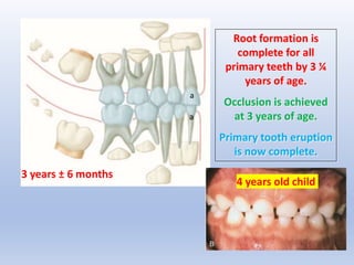 Chronology of Primary and Permanent Teeth-D. Saba Arshad.pptx | Dental ...