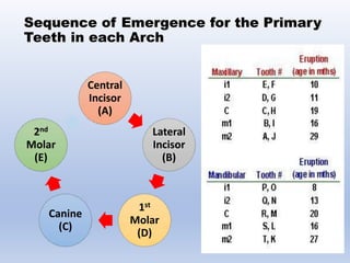 Chronology of Primary and Permanent Teeth-D. Saba Arshad.pptx