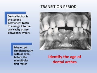 Chronology of Primary and Permanent Teeth-D. Saba Arshad.pptx | Dental ...
