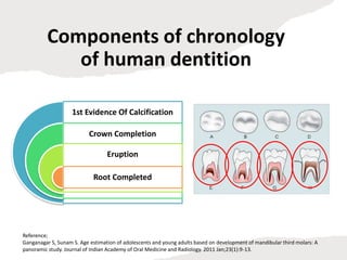 Chronology of Primary and Permanent Teeth-D. Saba Arshad.pptx