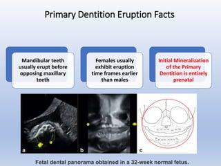 Chronology of Primary and Permanent Teeth-D. Saba Arshad.pptx
