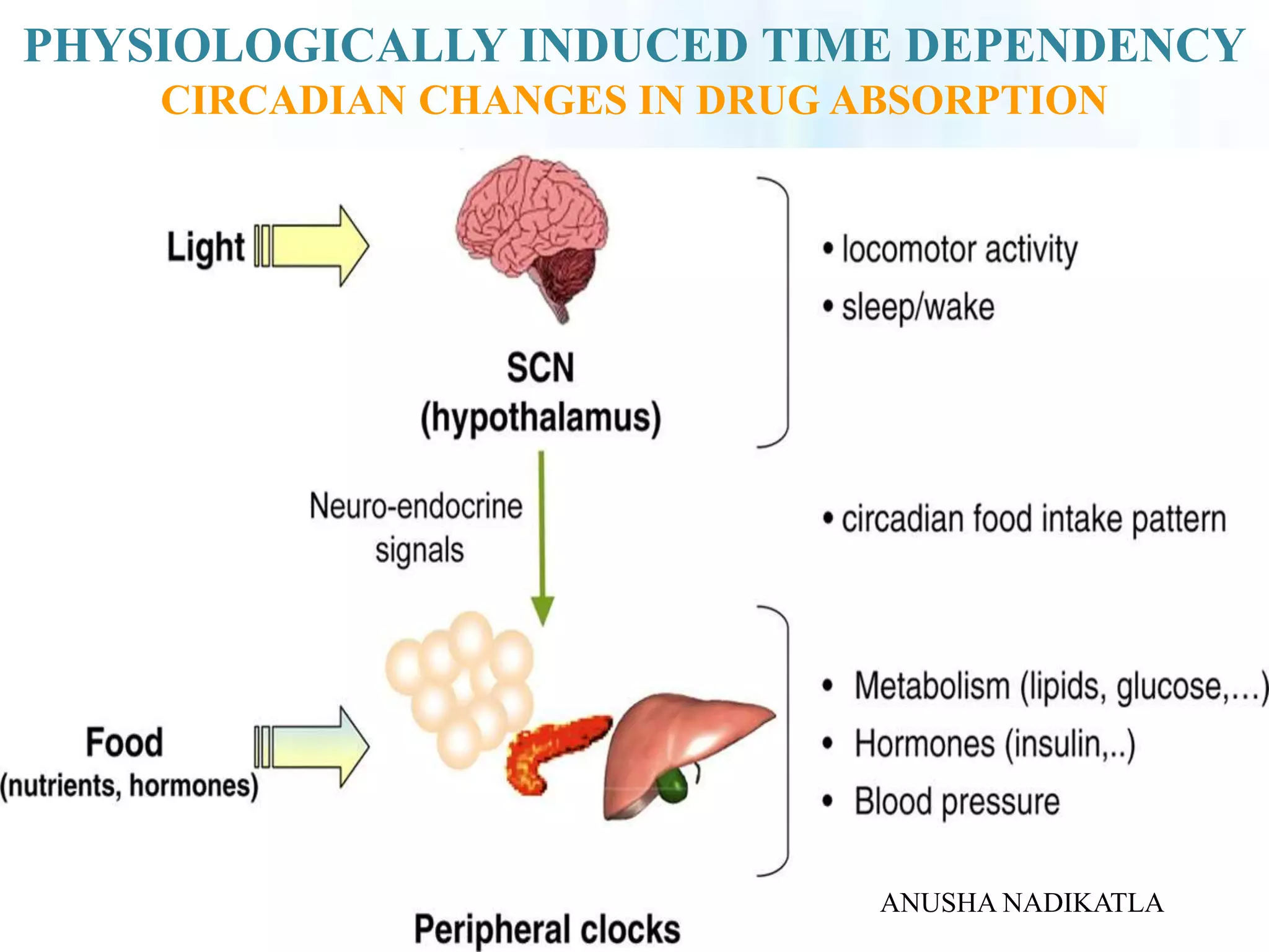 CHRONOPHARMACOKINETICS AND TIME DEPENDENT PHARMACOKINETICS | PPTX
