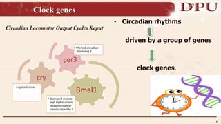 Chronopharmacology- Biological/Circadian Rhythm, applications with ...