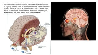 Chronopharmacology.pptx