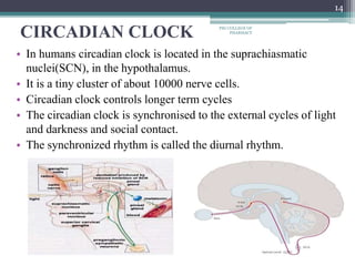 chronopharmacology.pptx