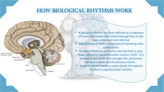 Chronopharmacology: Biological Rhythms.pptx