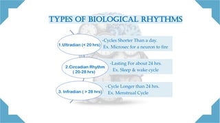 Chronopharmacology: Biological Rhythms.pptx