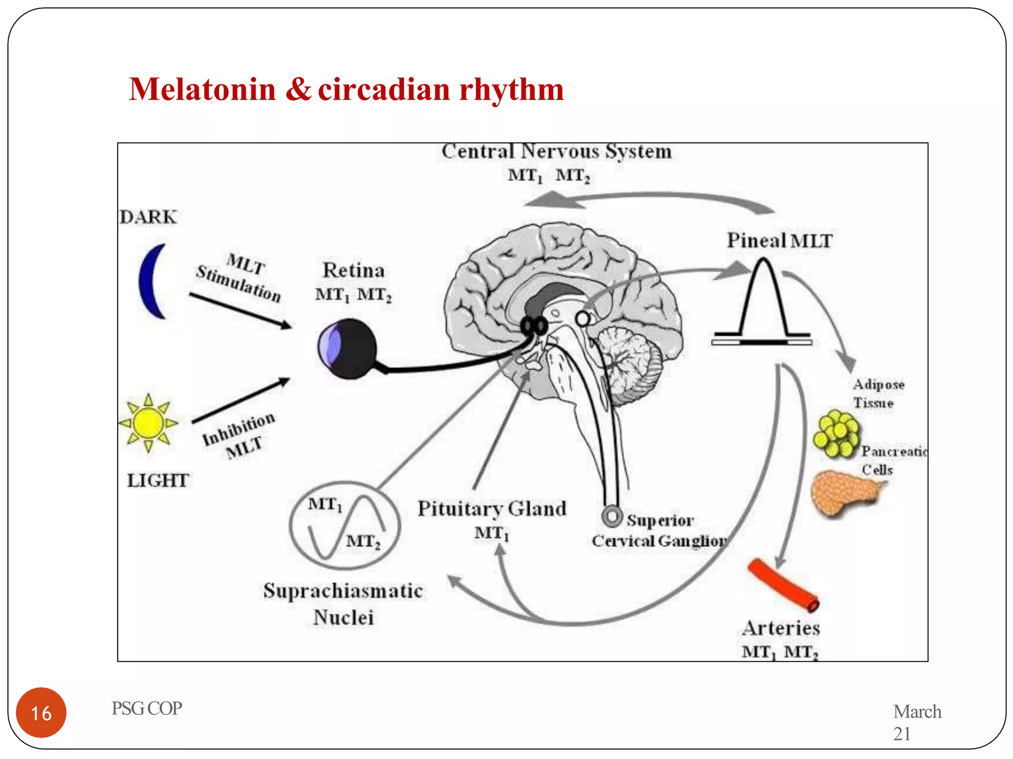 Chronopharmacology- Biological and Circadian rhythms.pptx