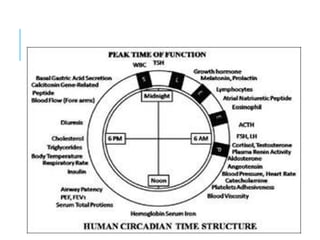 Chronotherapy | PPT
