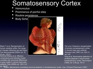 Chronic Pain and Psychoapathology | PPT