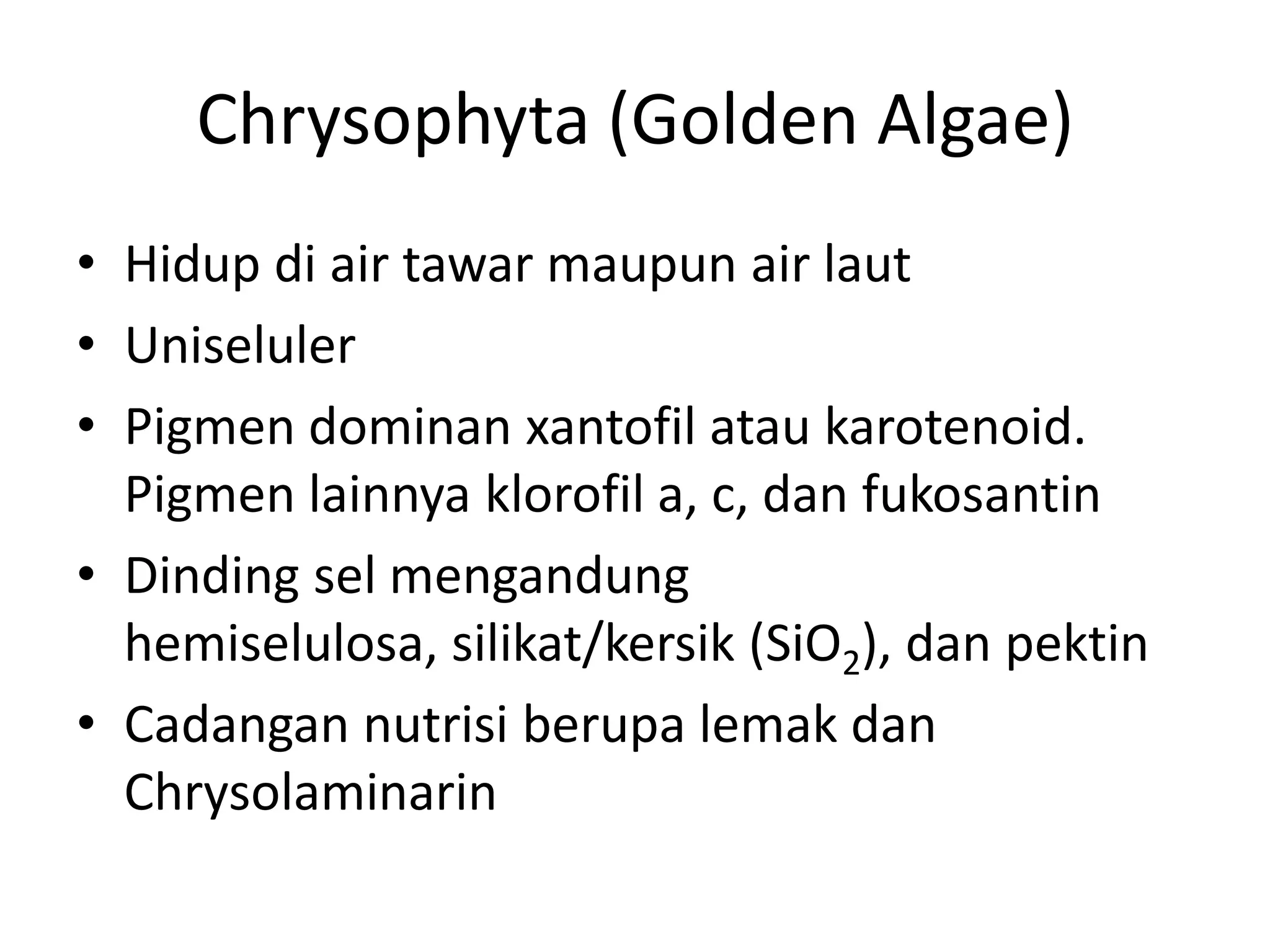 Chrysophyta | PPTX