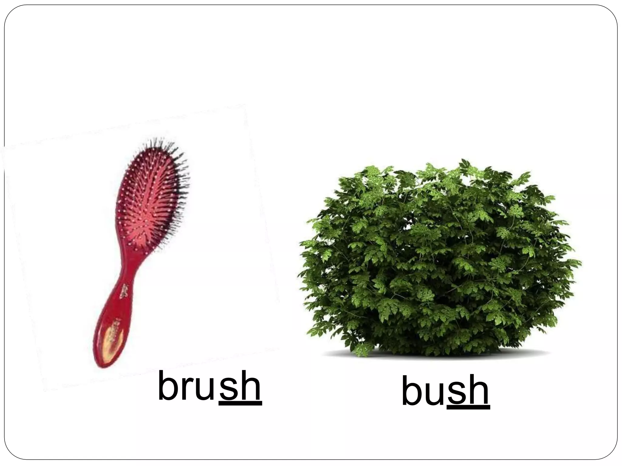 Ch and th digraphs | PPTX