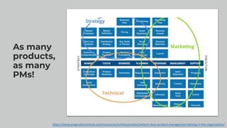 25 Years of Evolution of Software Product Management: A practitioner's ...