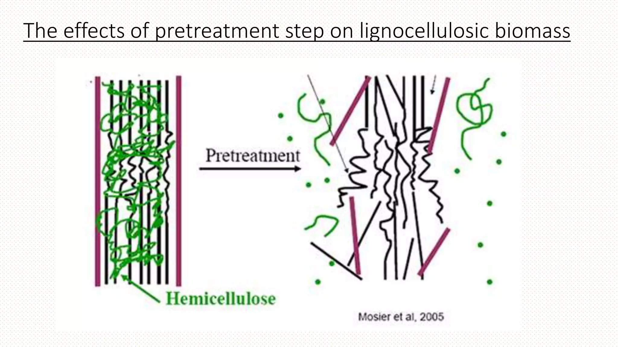 Bioethanol production from pretreated bamboo by white rot fungi ...