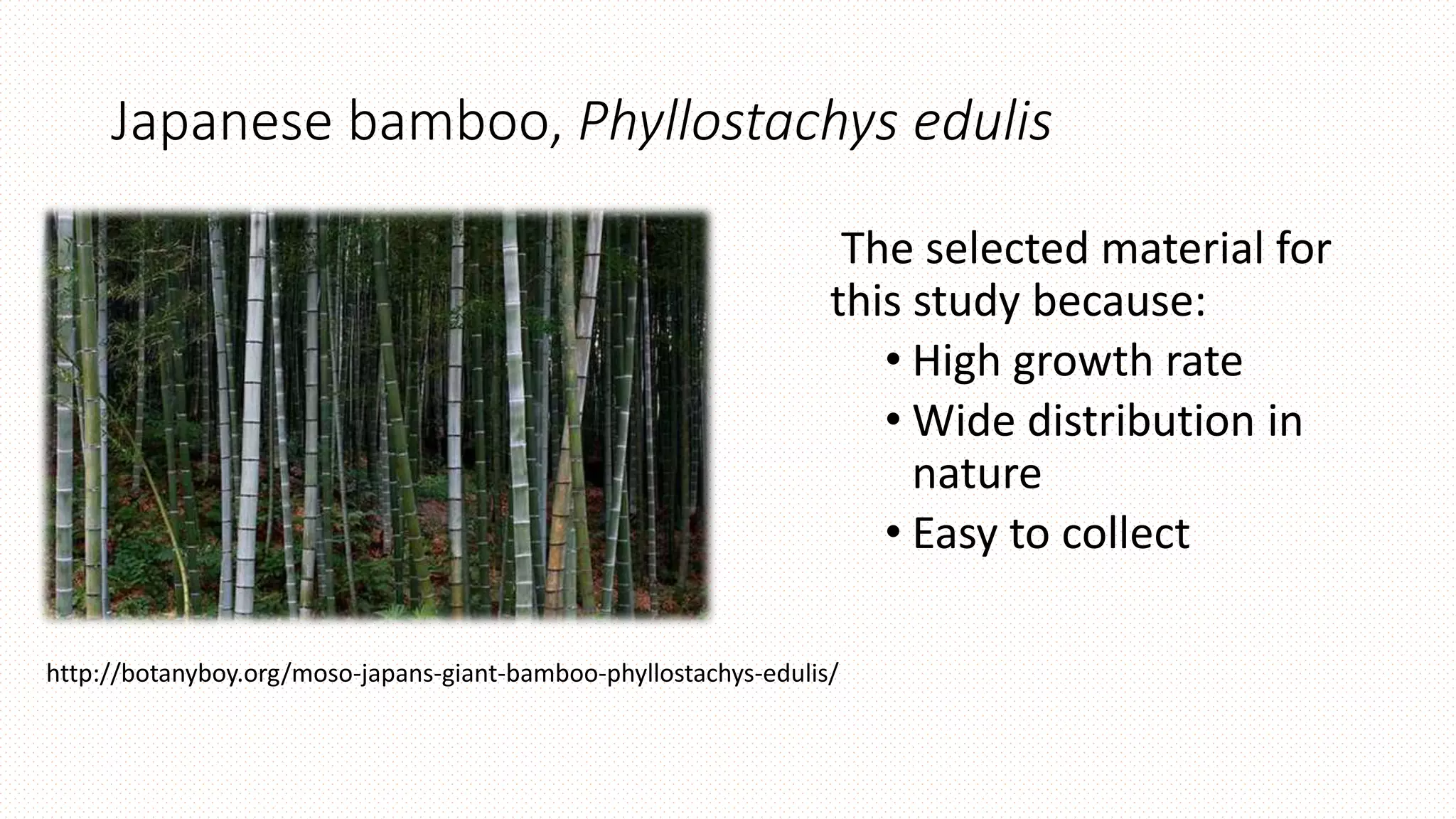 Bioethanol production from pretreated bamboo by white rot fungi ...