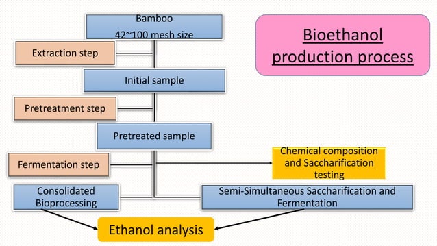 Bioethanol production from pretreated bamboo by white rot fungi ...