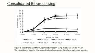 Bioethanol production from pretreated bamboo by white rot fungi ...