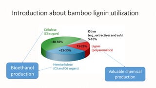 Bioethanol production from pretreated bamboo by white rot fungi ...