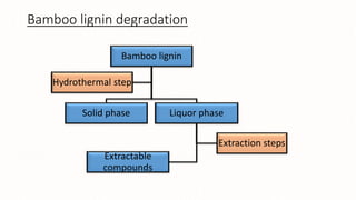 Bioethanol production from pretreated bamboo by white rot fungi ...