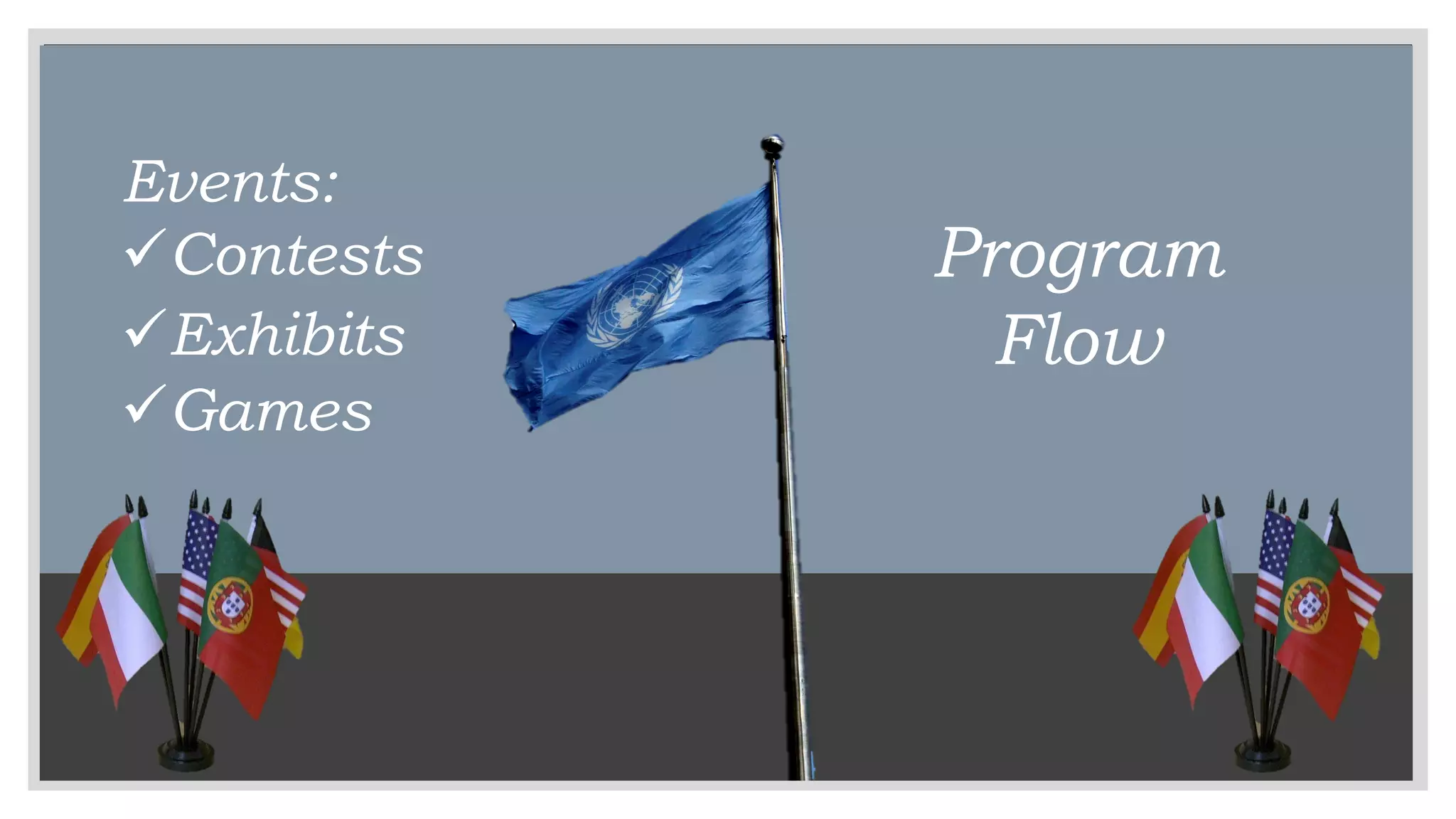 United Nations Program Flow | PDF