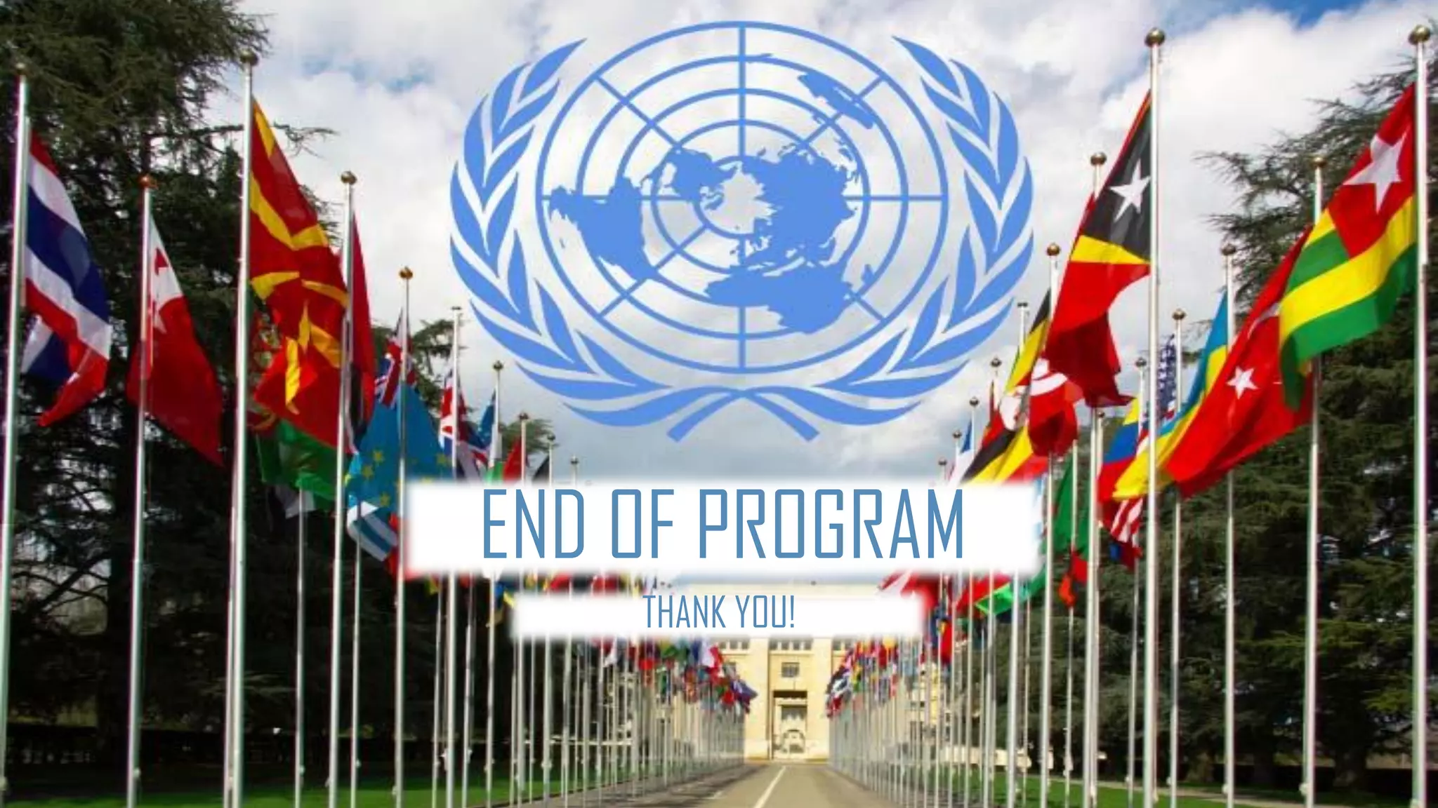 United Nations Program Flow | PDF