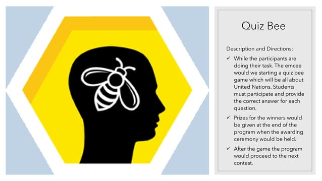 United Nations Program Flow | PDF