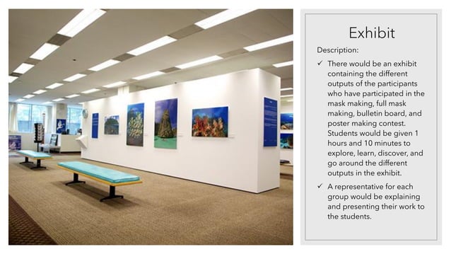 United Nations Program Flow | PDF