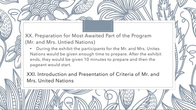 United Nations Program Flow | PDF