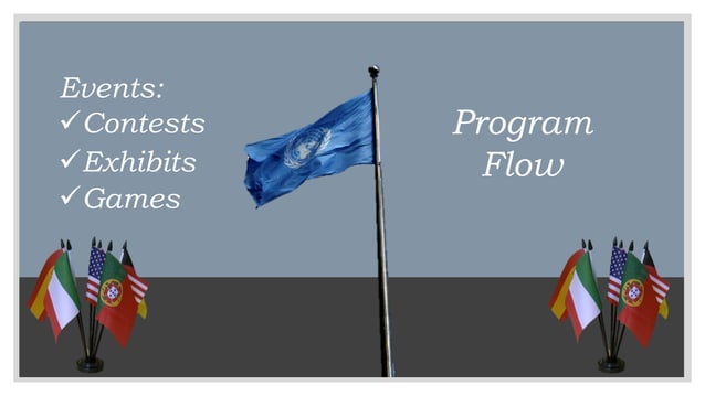 United Nations Program Flow | PDF