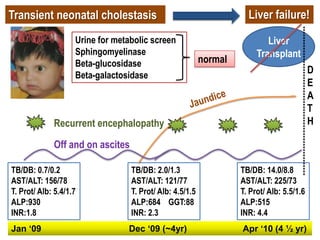 CITRIN DEFICIENCY | PPTX | Endocrine and Metabolic Diseases | Diseases ...