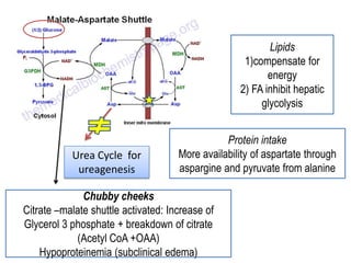 CITRIN DEFICIENCY | PPTX | Endocrine and Metabolic Diseases | Diseases ...