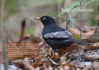 Chuikhim presentation | PPT