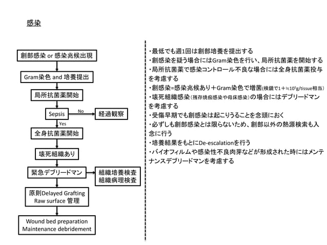 Chukyo hospital burn protocol 2018 | PPT