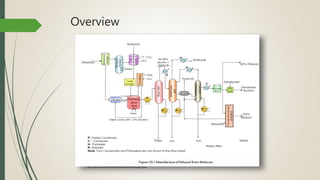 Chula Presentation | PPT