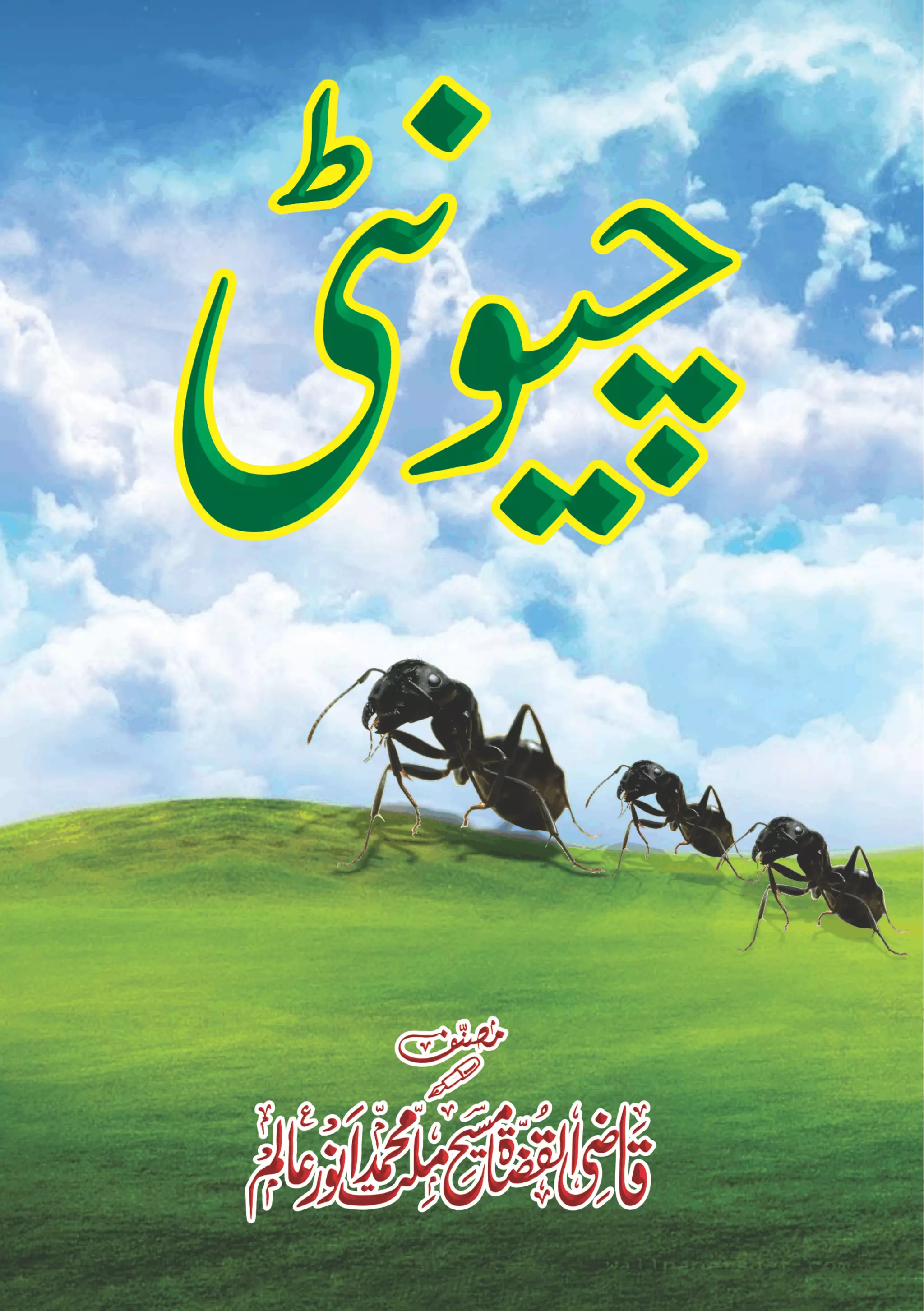CHUNTI URDU.pdf