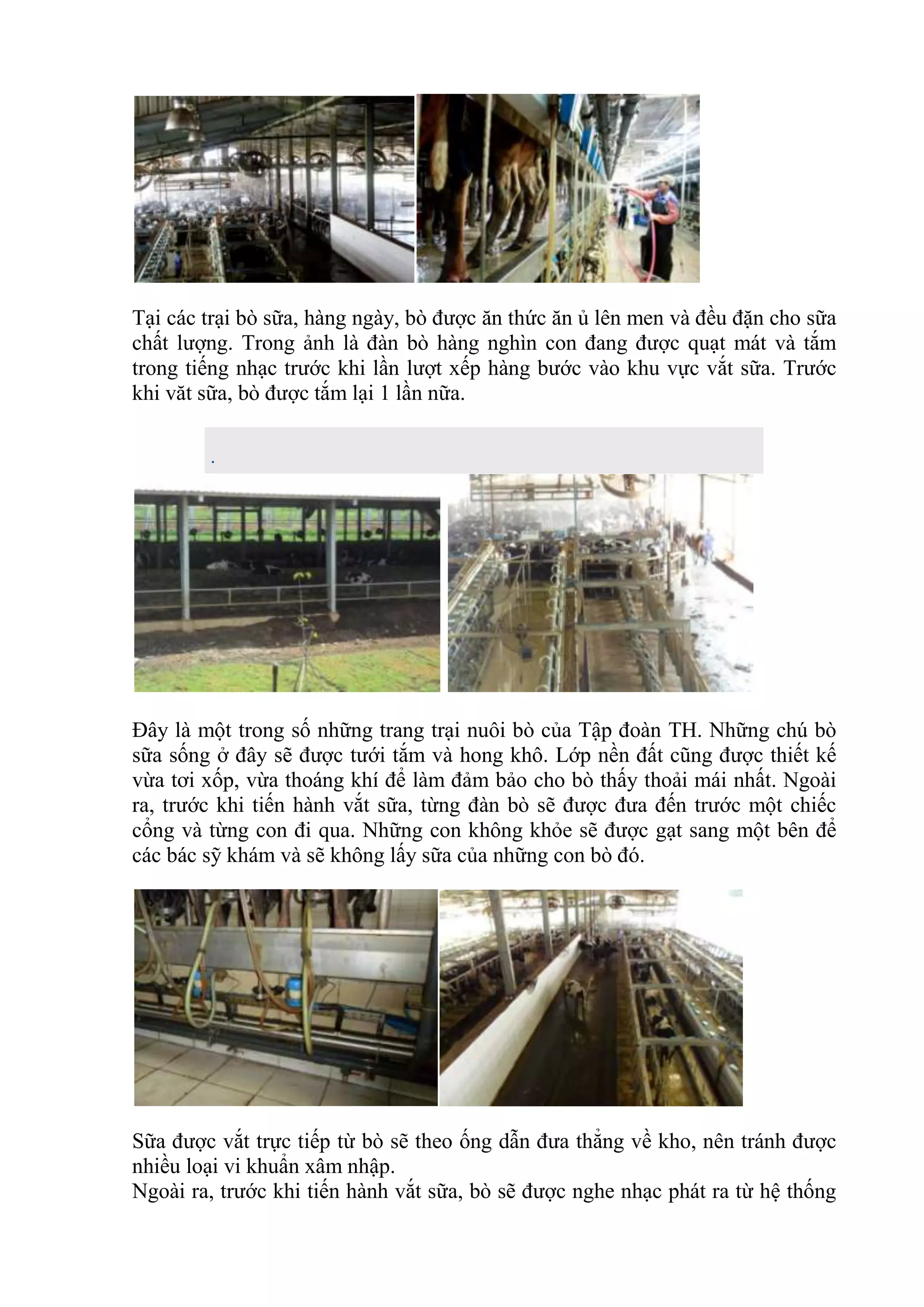 Chuoi cung ung th truemilk | DOCX