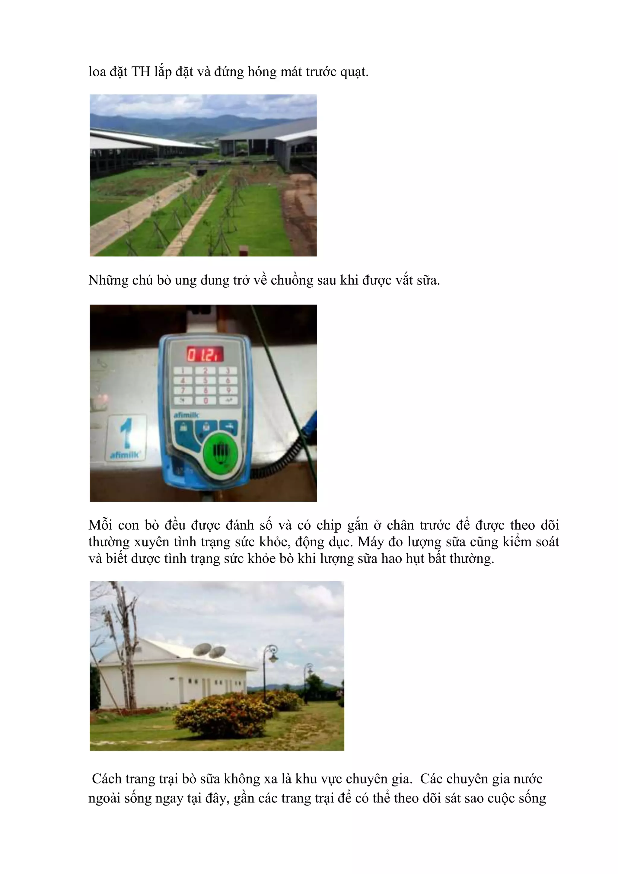 Chuoi cung ung th truemilk | DOCX