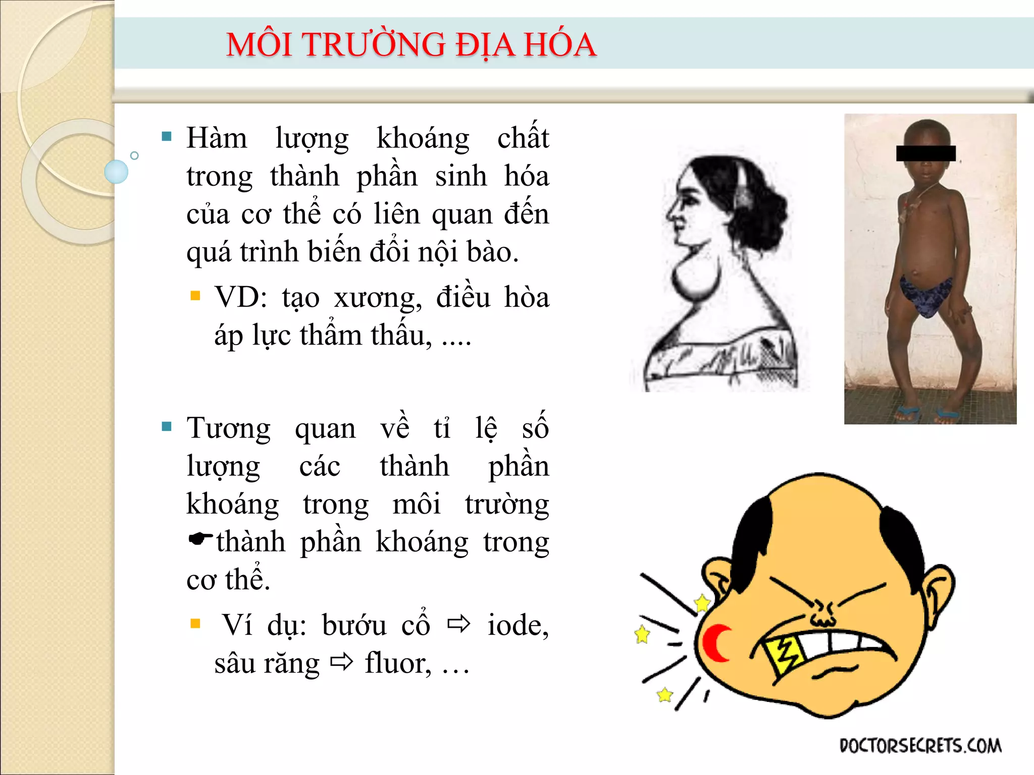 Chuong 1 con nguoi va su phat trien cua con nguoi nguyen my linh | PDF
