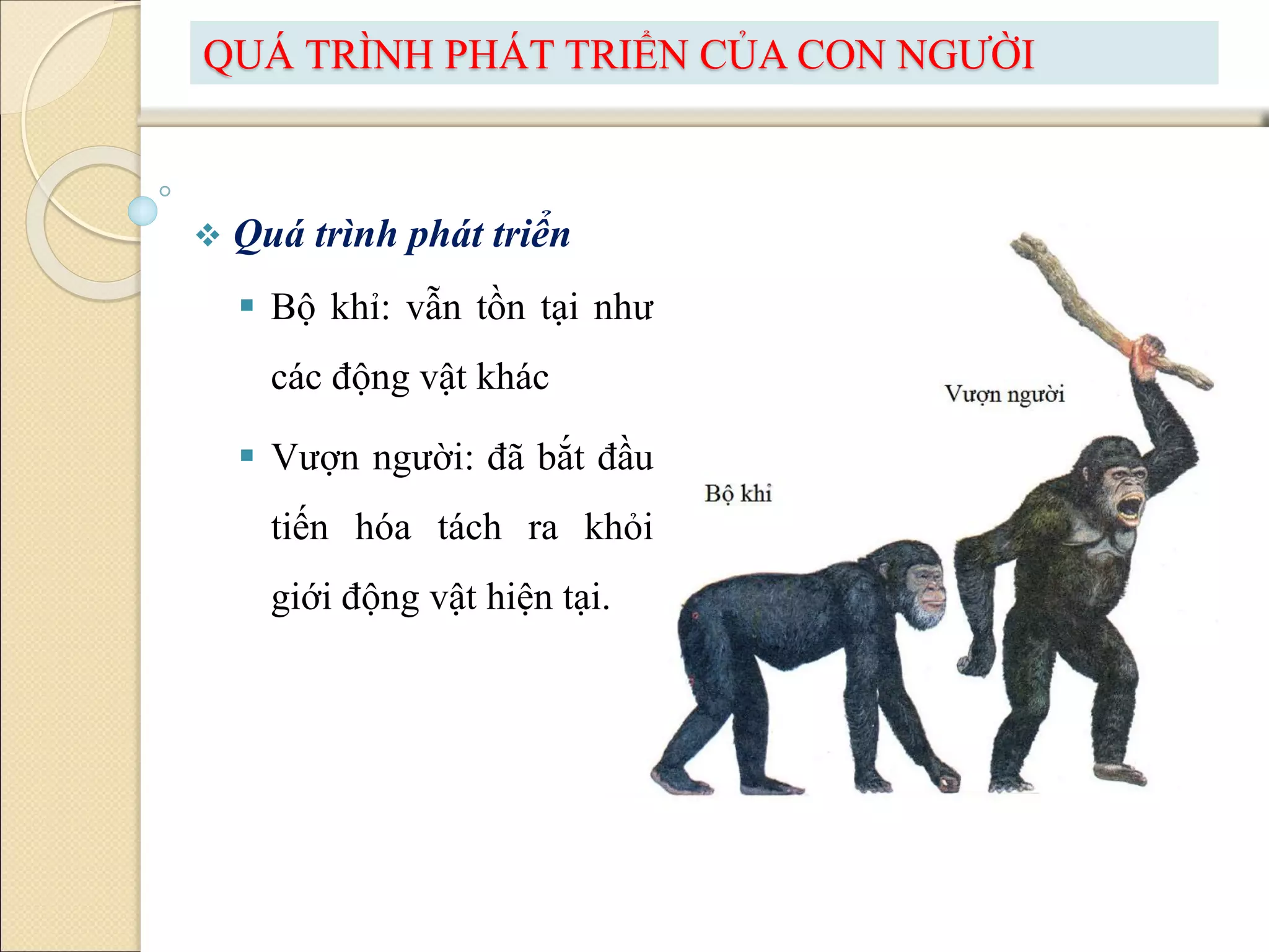Chuong 1 con nguoi va su phat trien cua con nguoi nguyen my linh | PDF