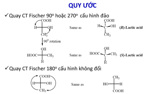 CHUONG 1 DONG PHANCHUONG 1 DONG PHAN 2022.pdf